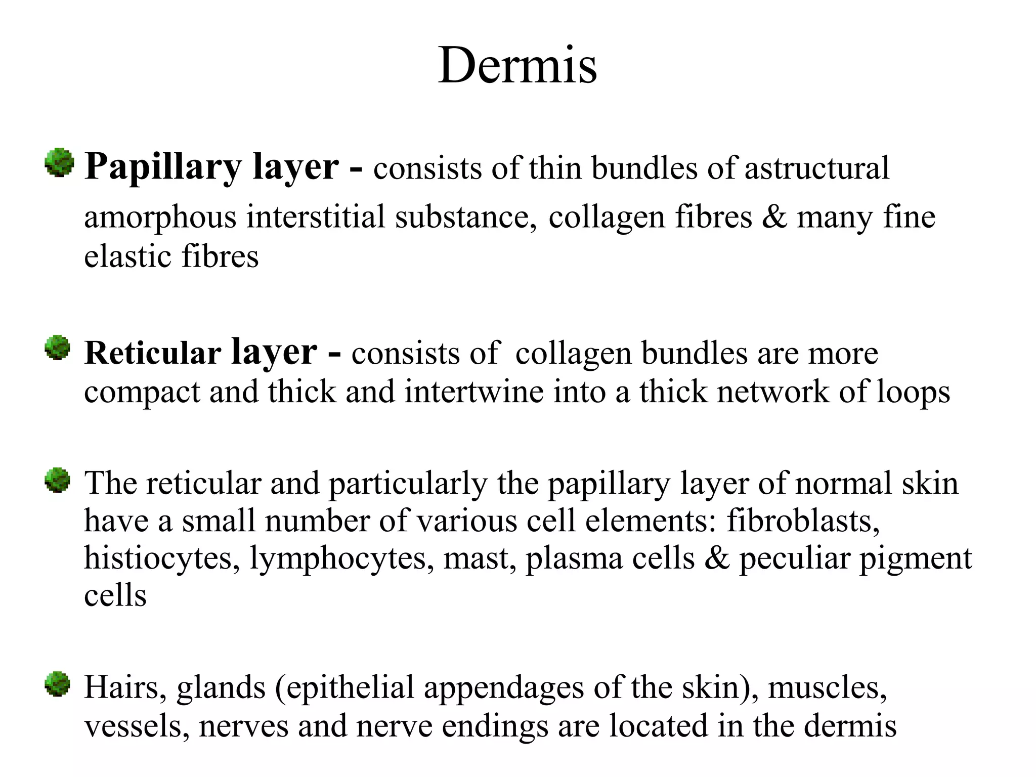 Skin anatomy | PPT