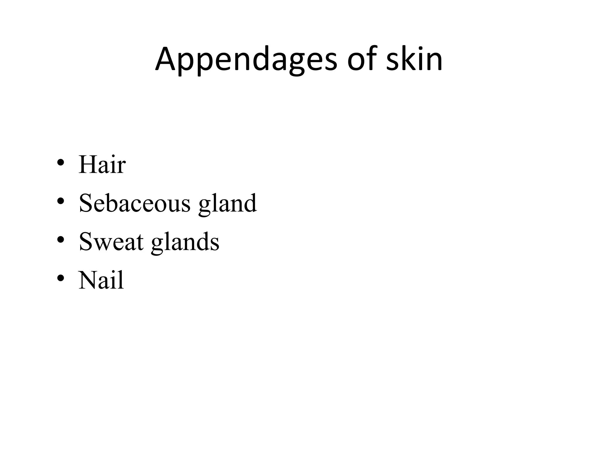 Skin anatomy | PPT