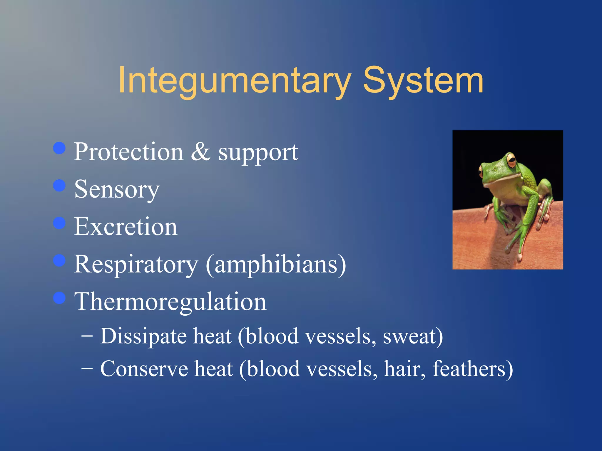 Integumentary system | PPT