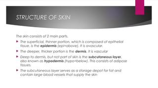 Skin and Appendages of skin | PPT