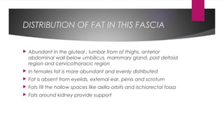 Skin and Appendages of skin | PPT