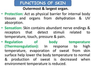 Skin care products, row material of skin care products | PPTX