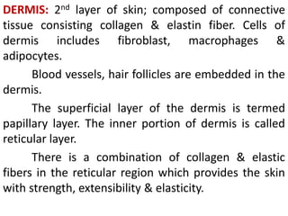 Skin care products, row material of skin care products | PPTX