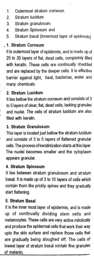 Skin. | PDF | Skin and Dermatology | Diseases and Conditions