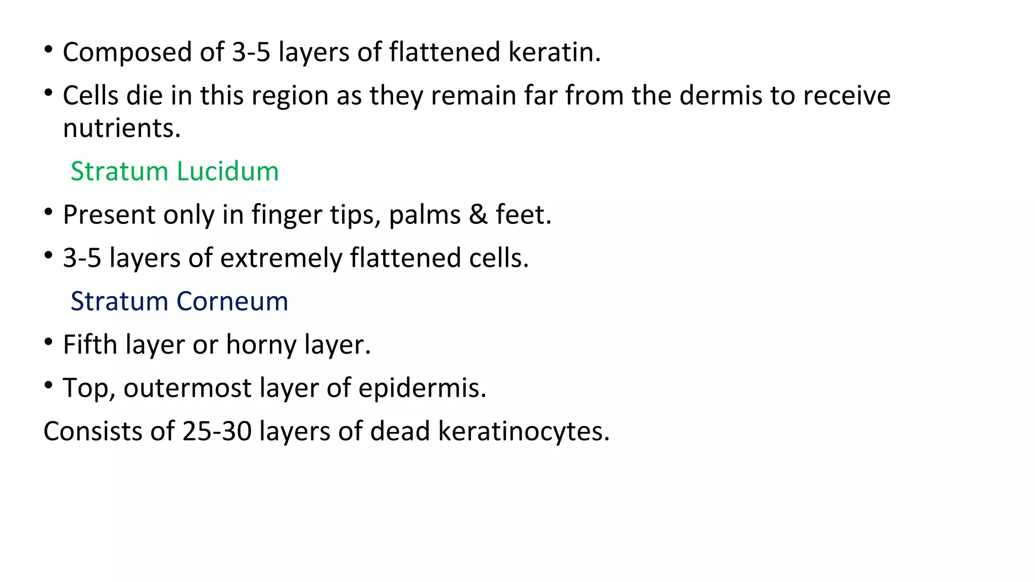 Skin Structure Function And Disease Ppt