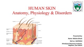 Skin structure function and disease | PPT