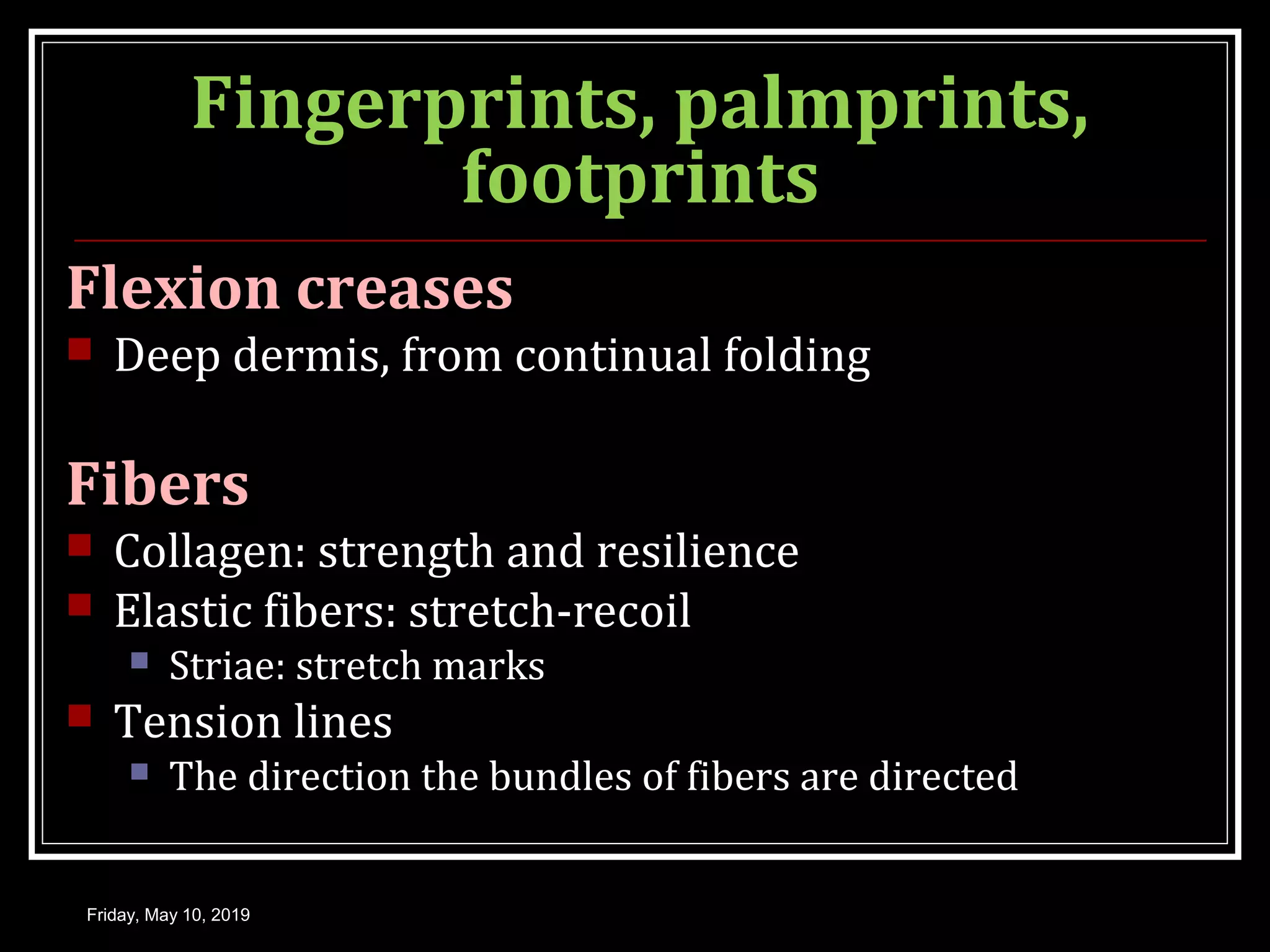 SKIN - INTEGUMENTARY SYSTEM | PPT