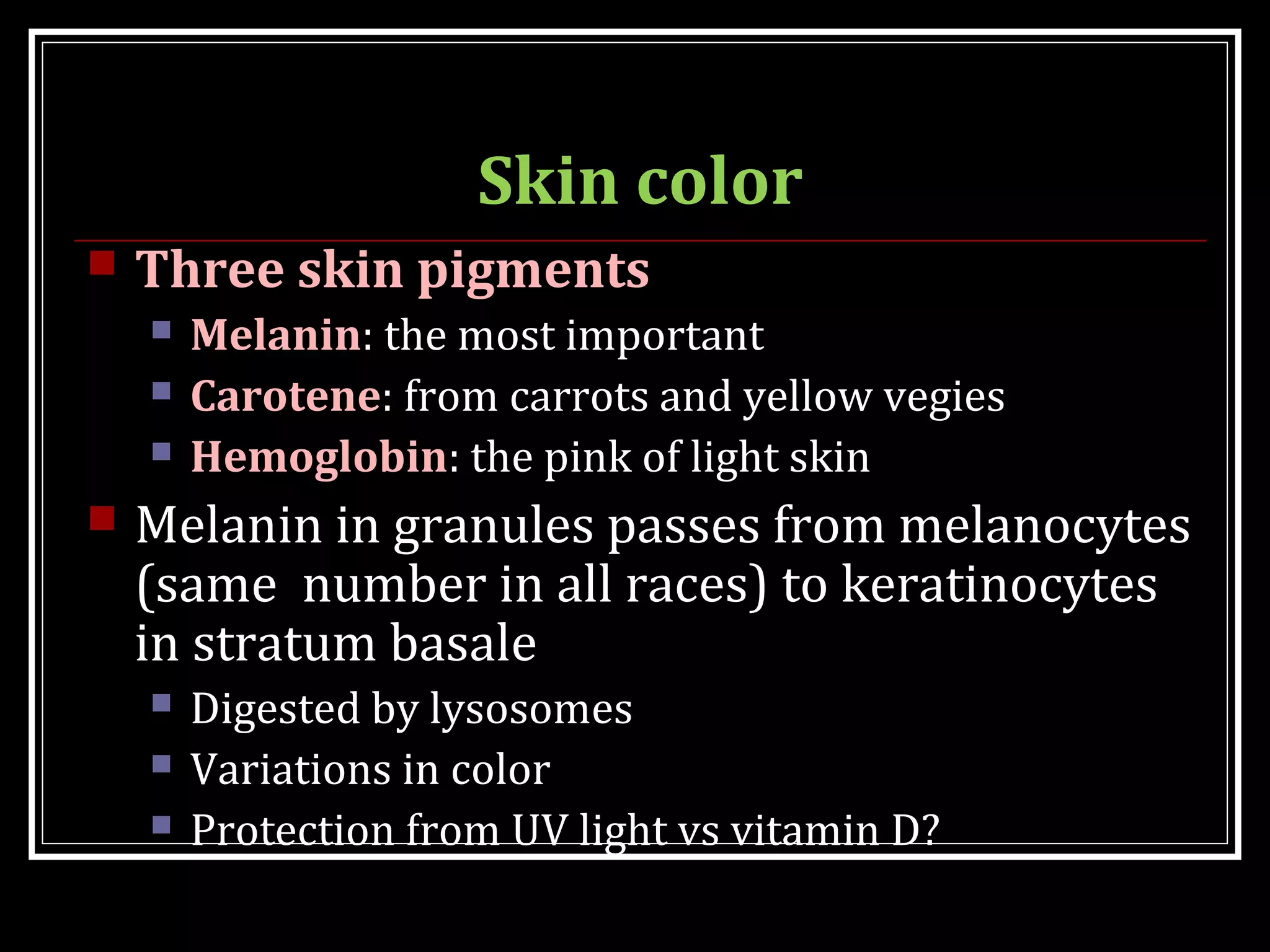 SKIN - INTEGUMENTARY SYSTEM | PPT