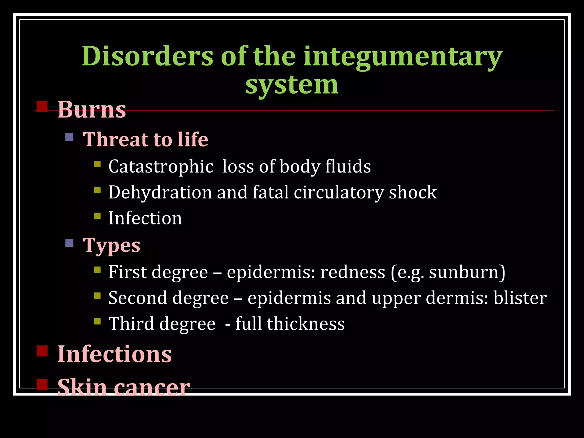SKIN - INTEGUMENTARY SYSTEM | PPT