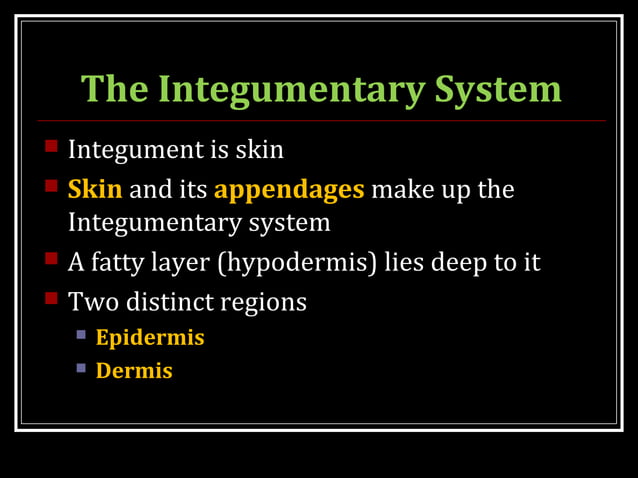 SKIN - INTEGUMENTARY SYSTEM | PPT | Skin and Dermatology | Diseases and ...