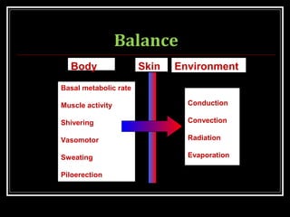SKIN - INTEGUMENTARY SYSTEM | PPT