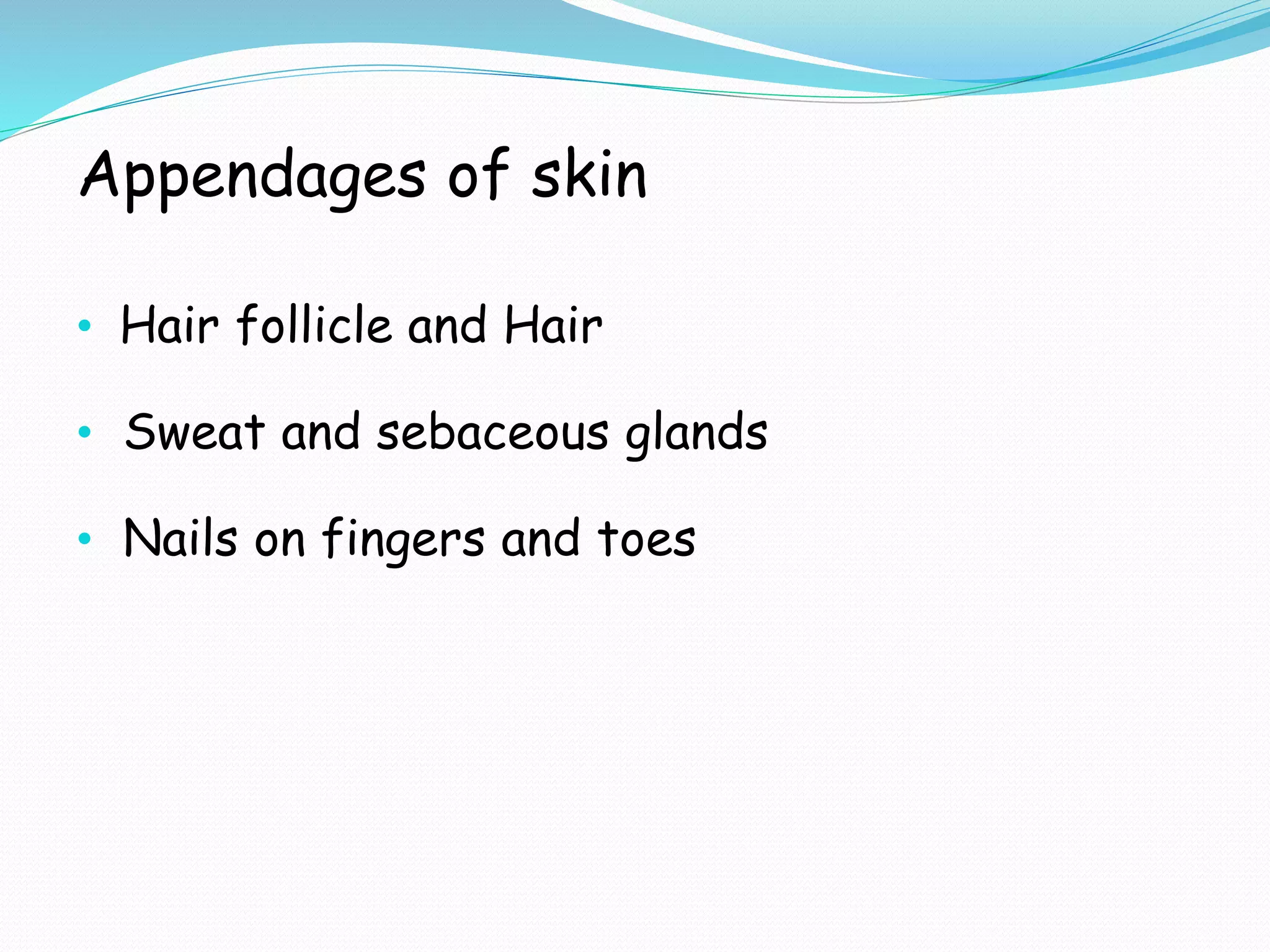 Skin anatomy and physiology | PPTX