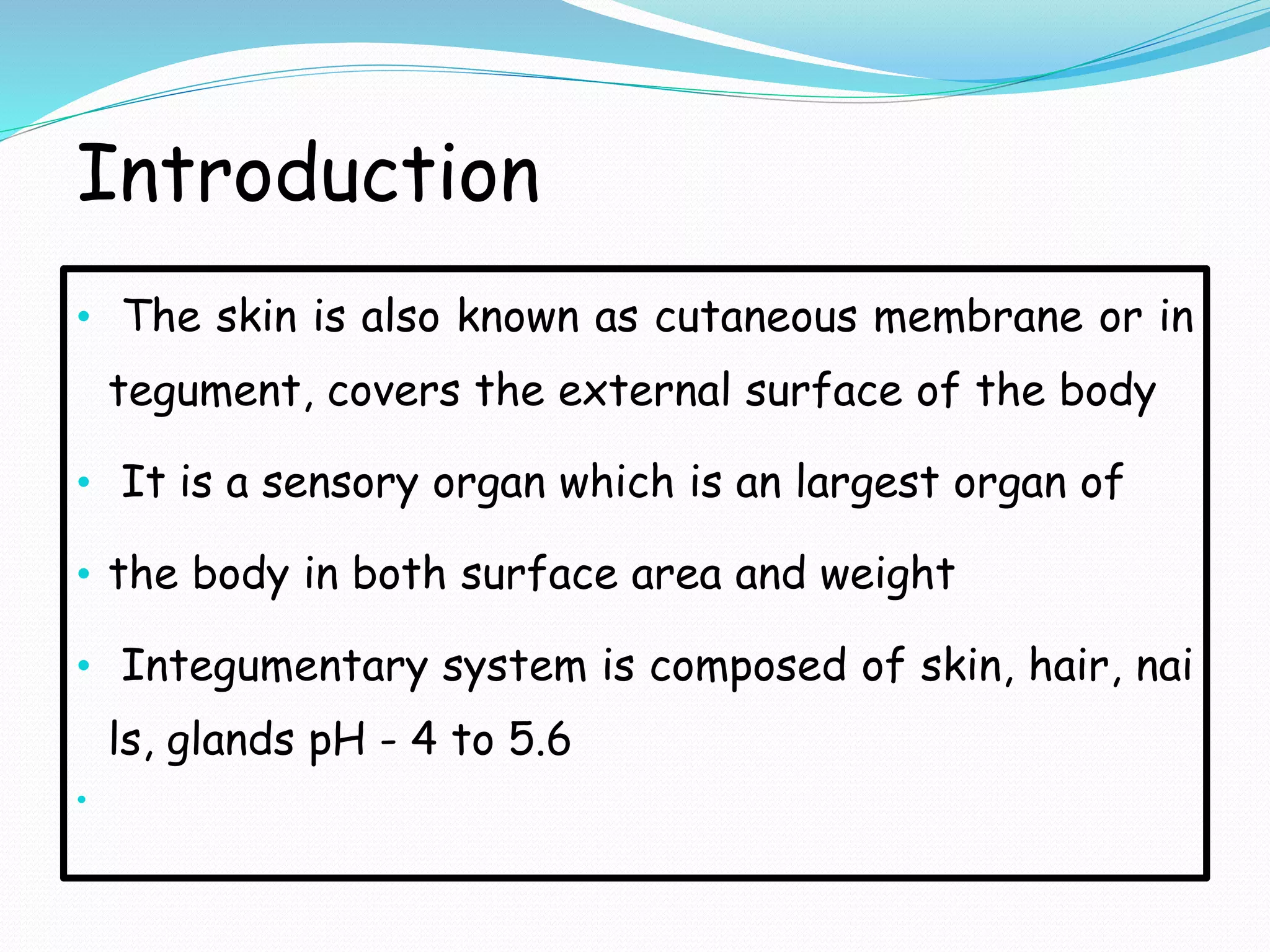 Skin anatomy and physiology | PPTX