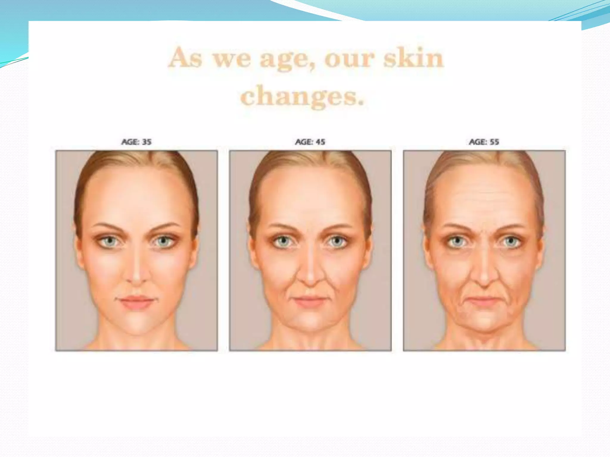 Skin anatomy and physiology | PPTX