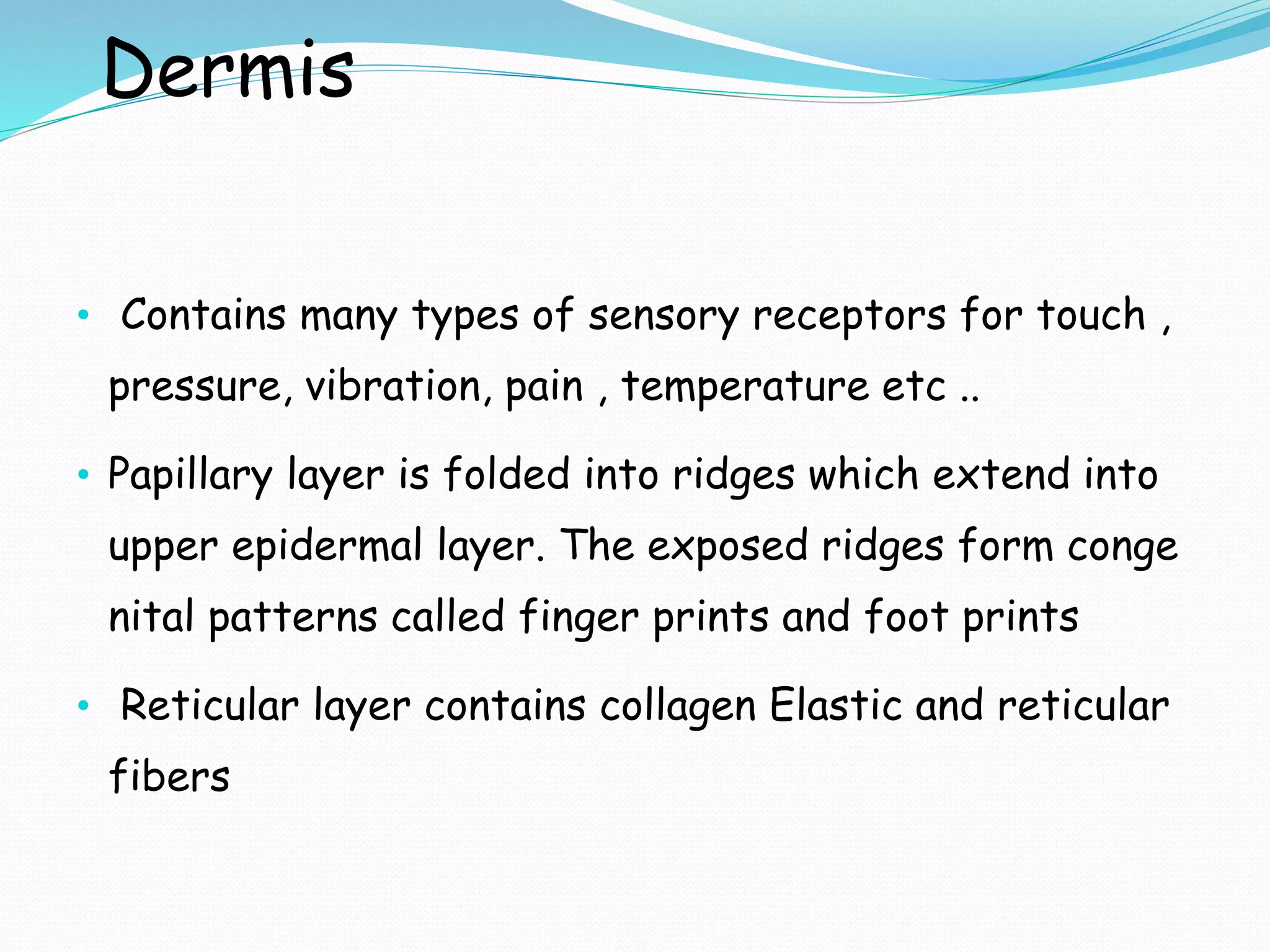 Skin anatomy and physiology | PPTX