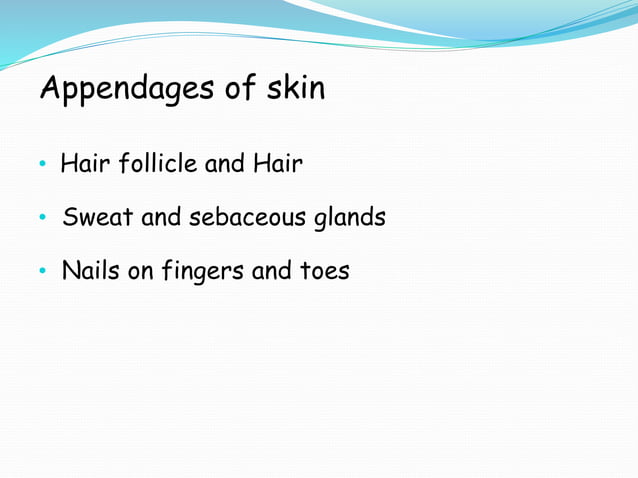 Skin anatomy and physiology | PPTX