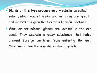 Skin anatomy and physiology | PPTX