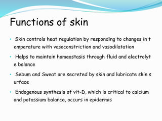 Skin anatomy and physiology | PPTX