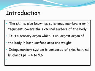 Skin anatomy and physiology | PPTX