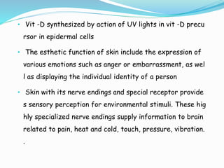 Skin anatomy and physiology | PPTX