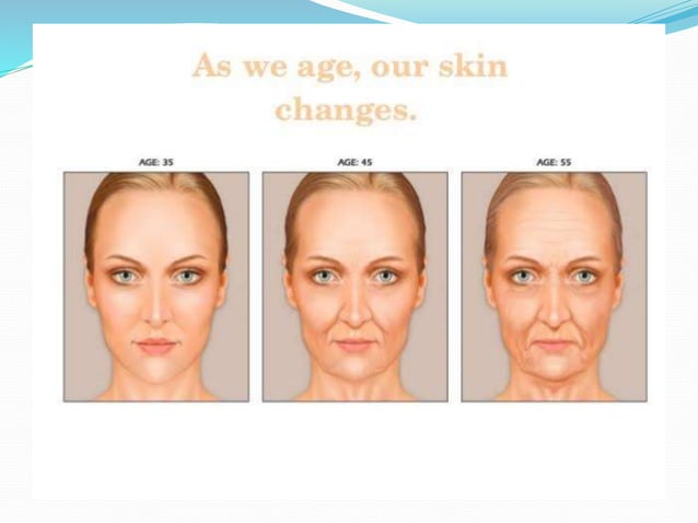 Skin anatomy and physiology | PPTX