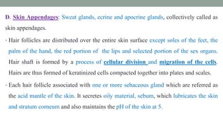 Cosmetic Science- Hair and Skin | PPTX