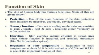 Skin | PPT