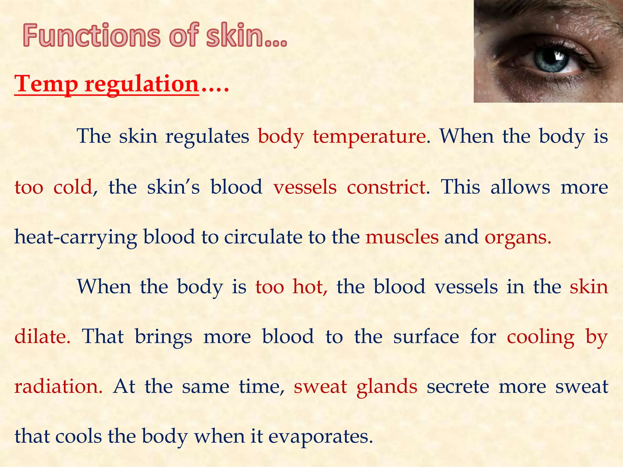 Skin-Structure & function ................ | PPTX