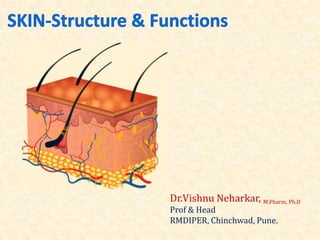 Skin-Structure & function ................ | PPTX