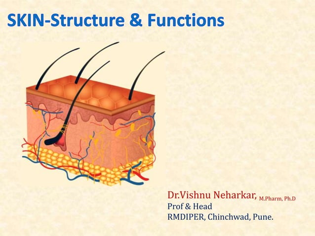Skin-Structure & function ................ | PPTX | Skin and ...