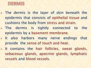 Skin-Structure & function ................ | PPTX