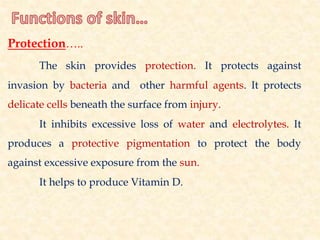 Skin-Structure & function ................ | PPTX