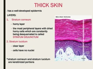 SKIN Lecture and lab - general Histo.pdf