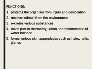 SKIN Lecture and lab - general Histo.pdf