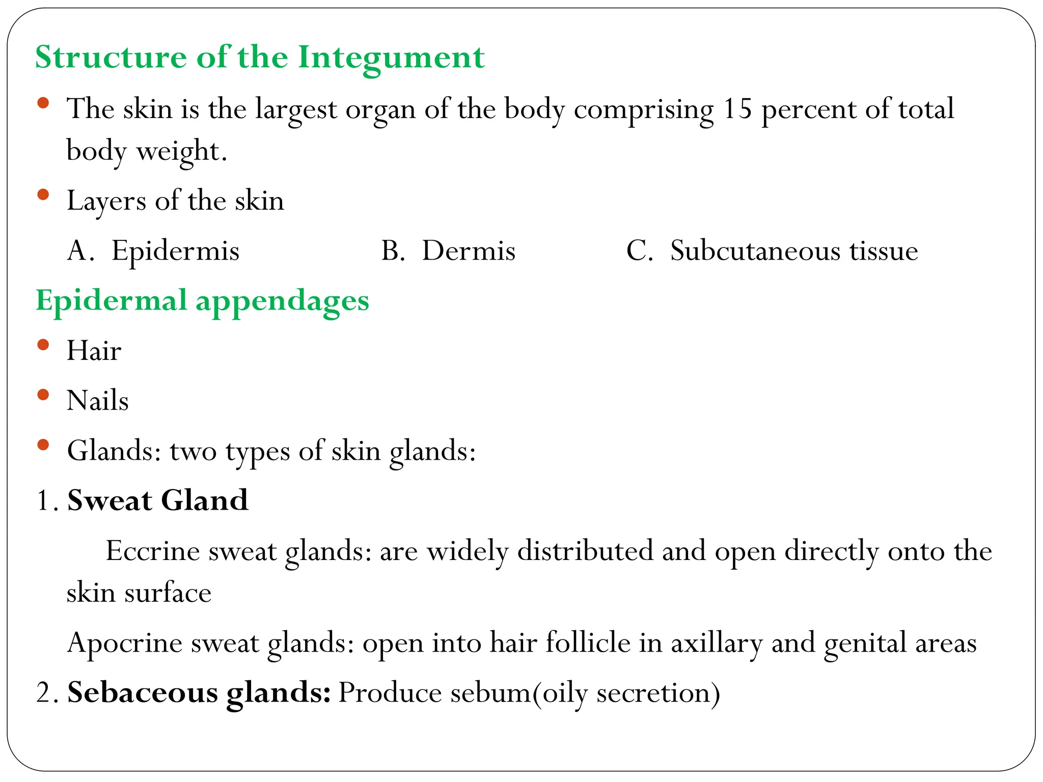 skin.pptThe integumentary system consists of the skin, hair, nails ...