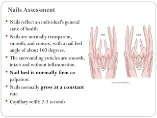 skin.pptThe integumentary system consists of the skin, hair, nails ...
