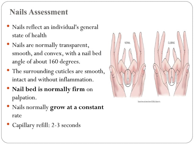 skin.pptThe integumentary system consists of the skin, hair, nails ...