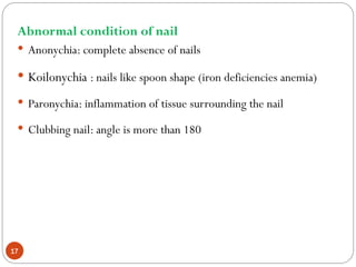 skin.pptThe integumentary system consists of the skin, hair, nails ...
