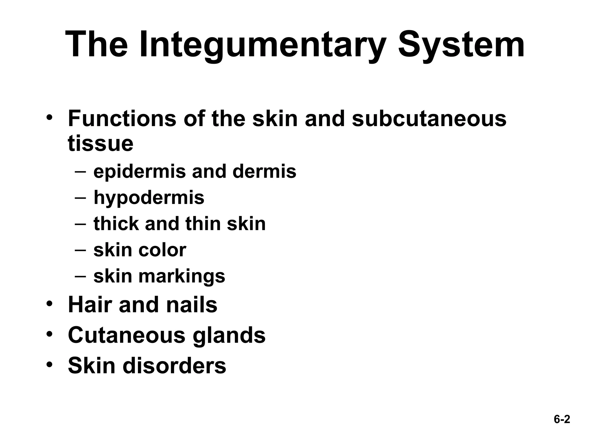 human body and the sensory organ Skin.ppt