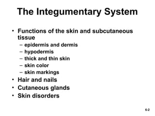 human body and the sensory organ Skin.ppt
