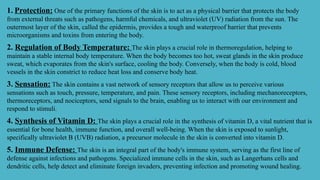 skin - sense of touch, temperature maintain | PPTX