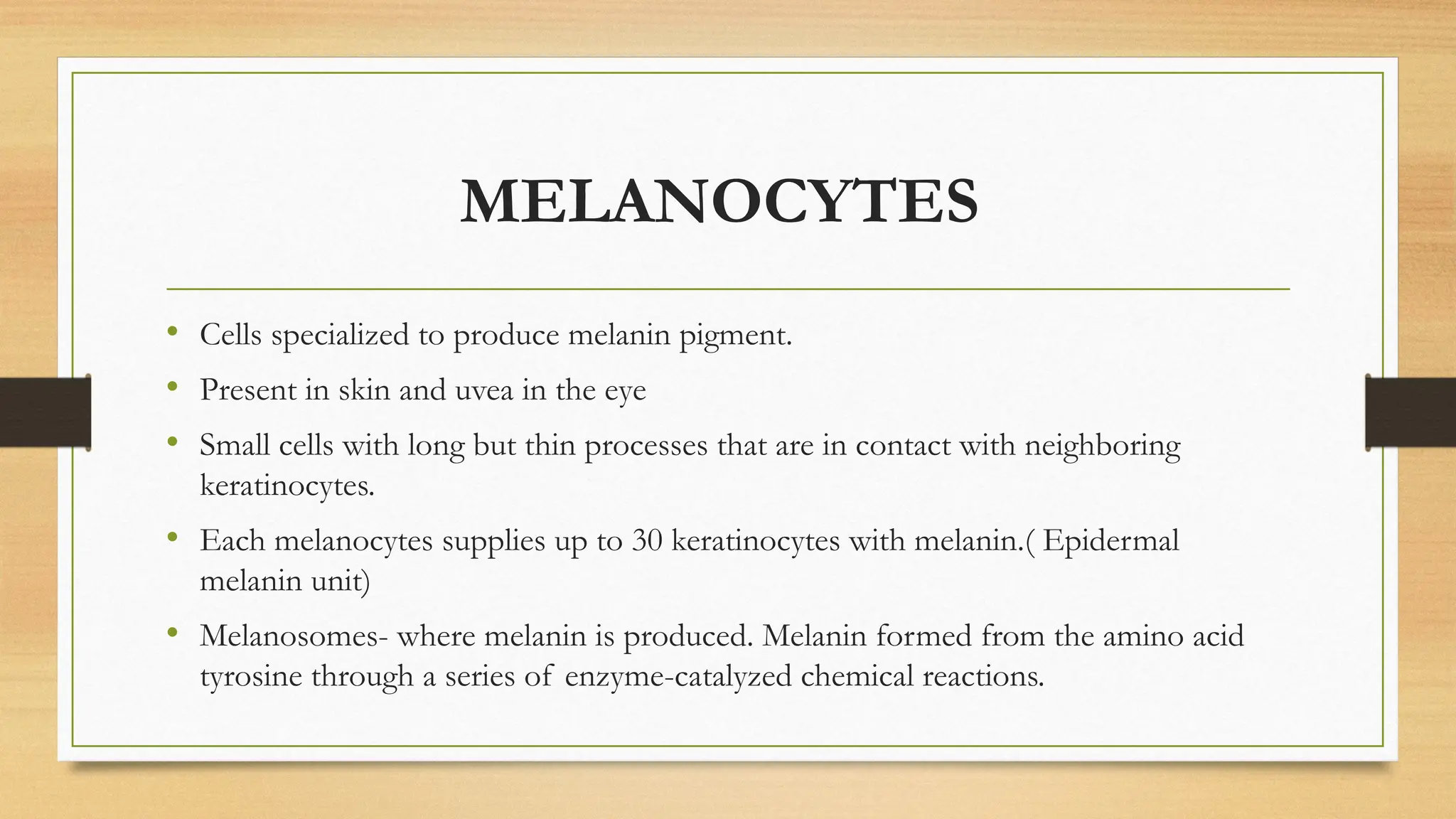 Our report in Skin-and-Its-Appendages.pptx