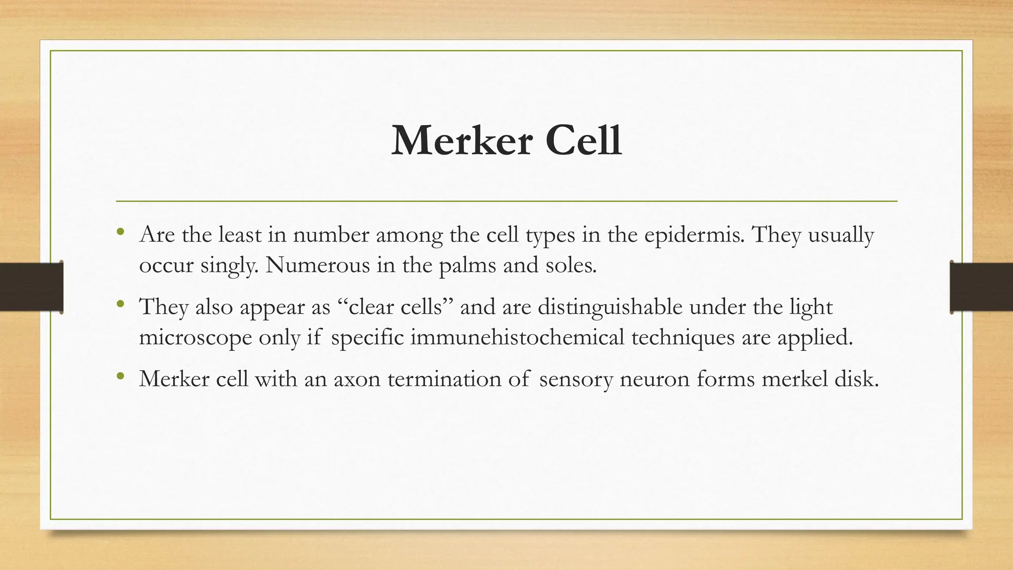 Our report in Skin-and-Its-Appendages.pptx