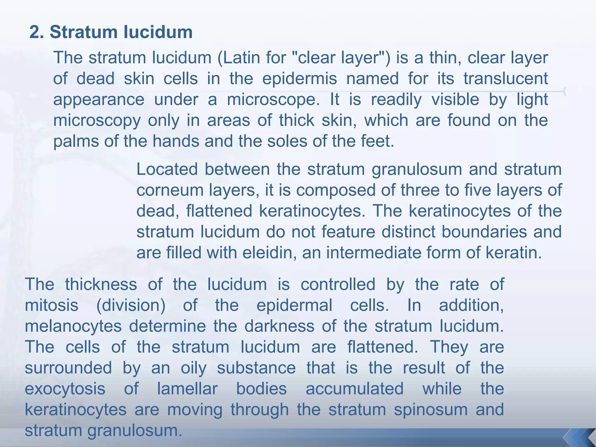 SKIN : Excretory system in Human | PPTX