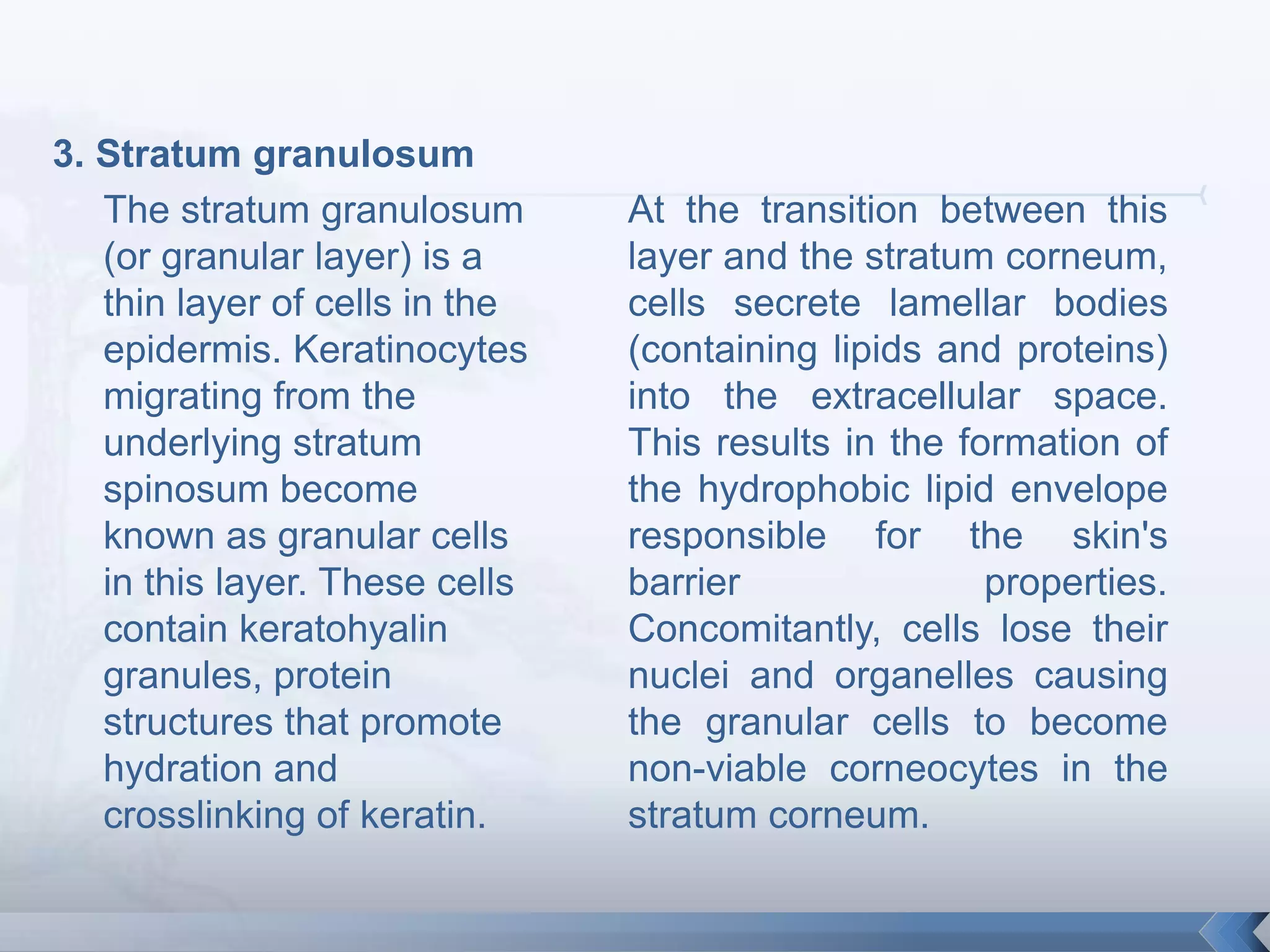 SKIN : Excretory system in Human | PPTX