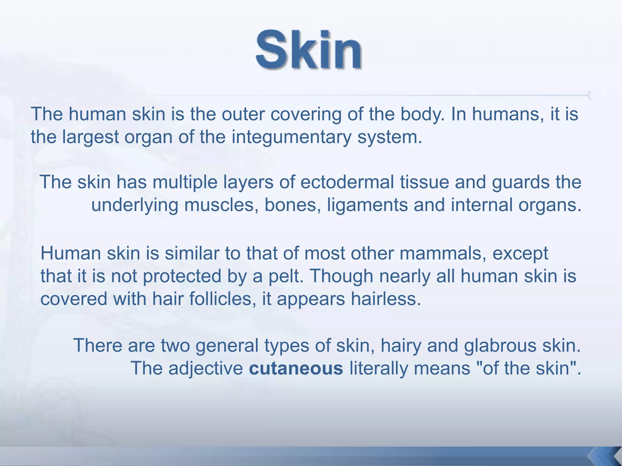 SKIN : Excretory system in Human | PPTX