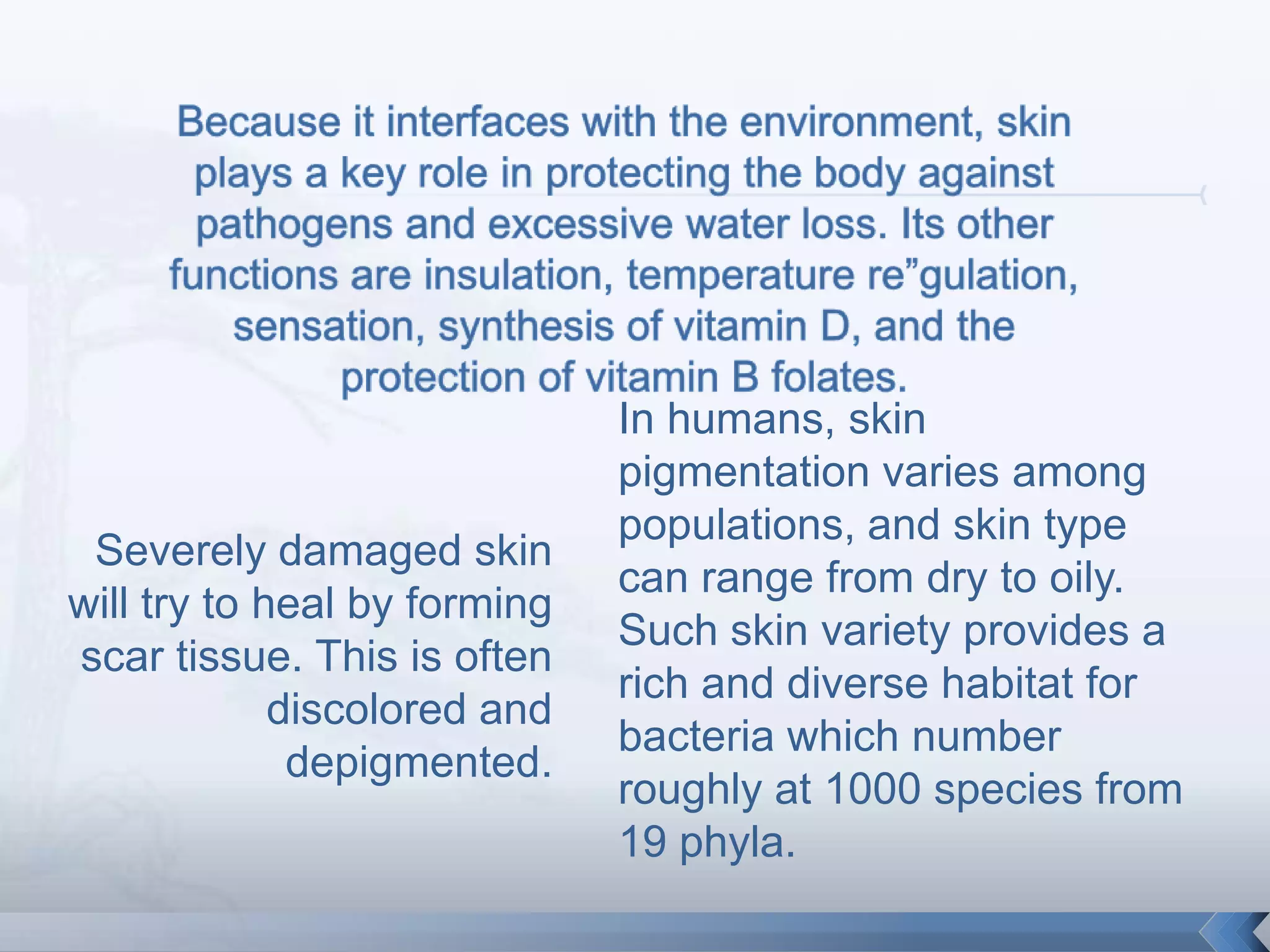 SKIN : Excretory system in Human | PPTX