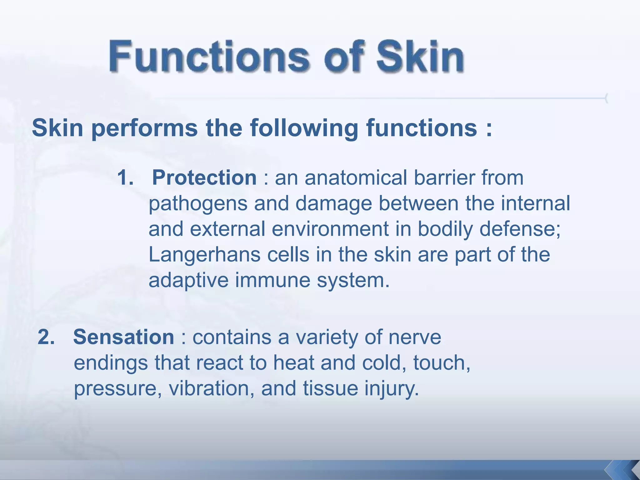 SKIN : Excretory system in Human | PPTX