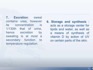 SKIN : Excretory system in Human | PPTX