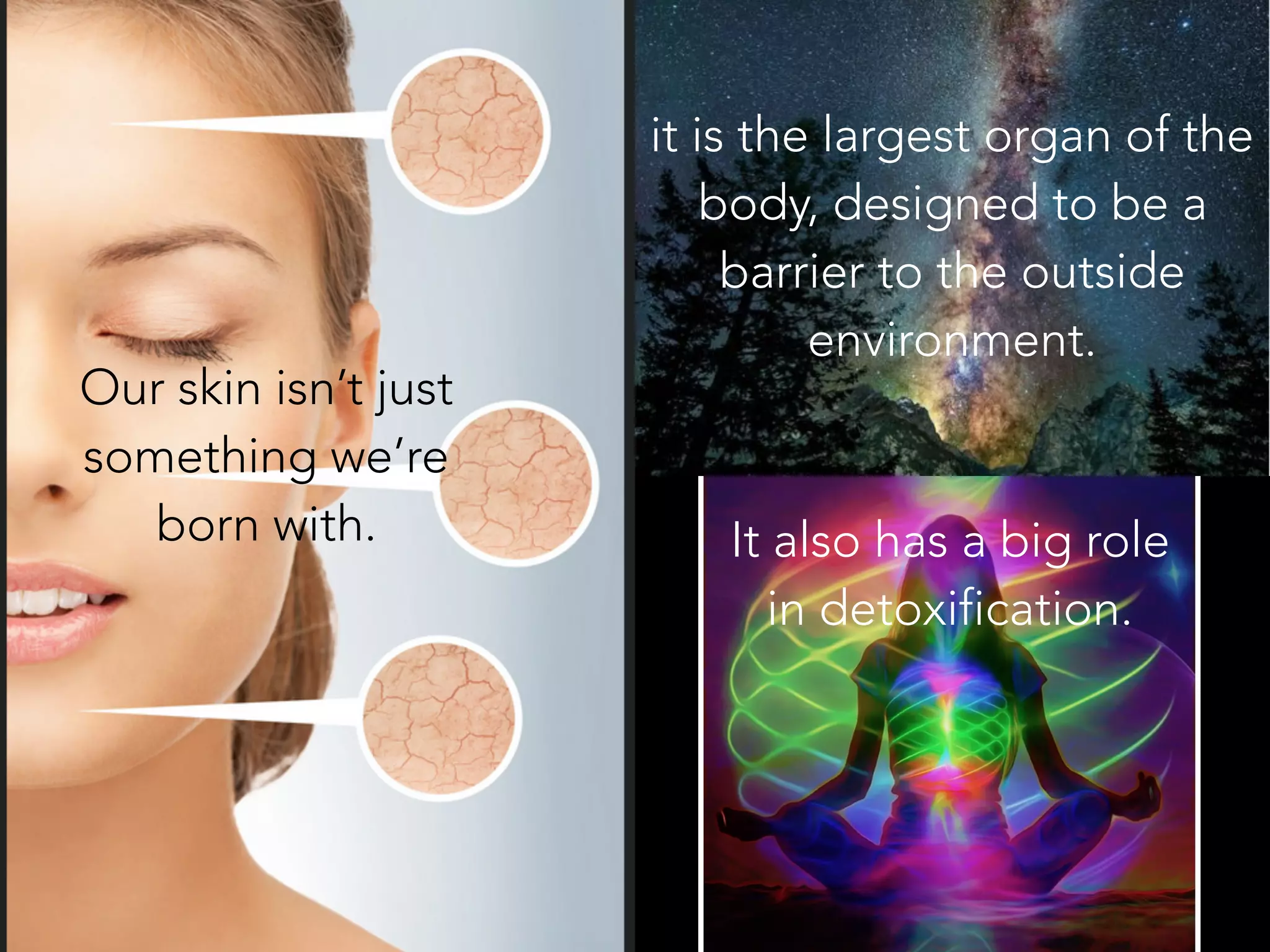 Skin gut connection | PDF